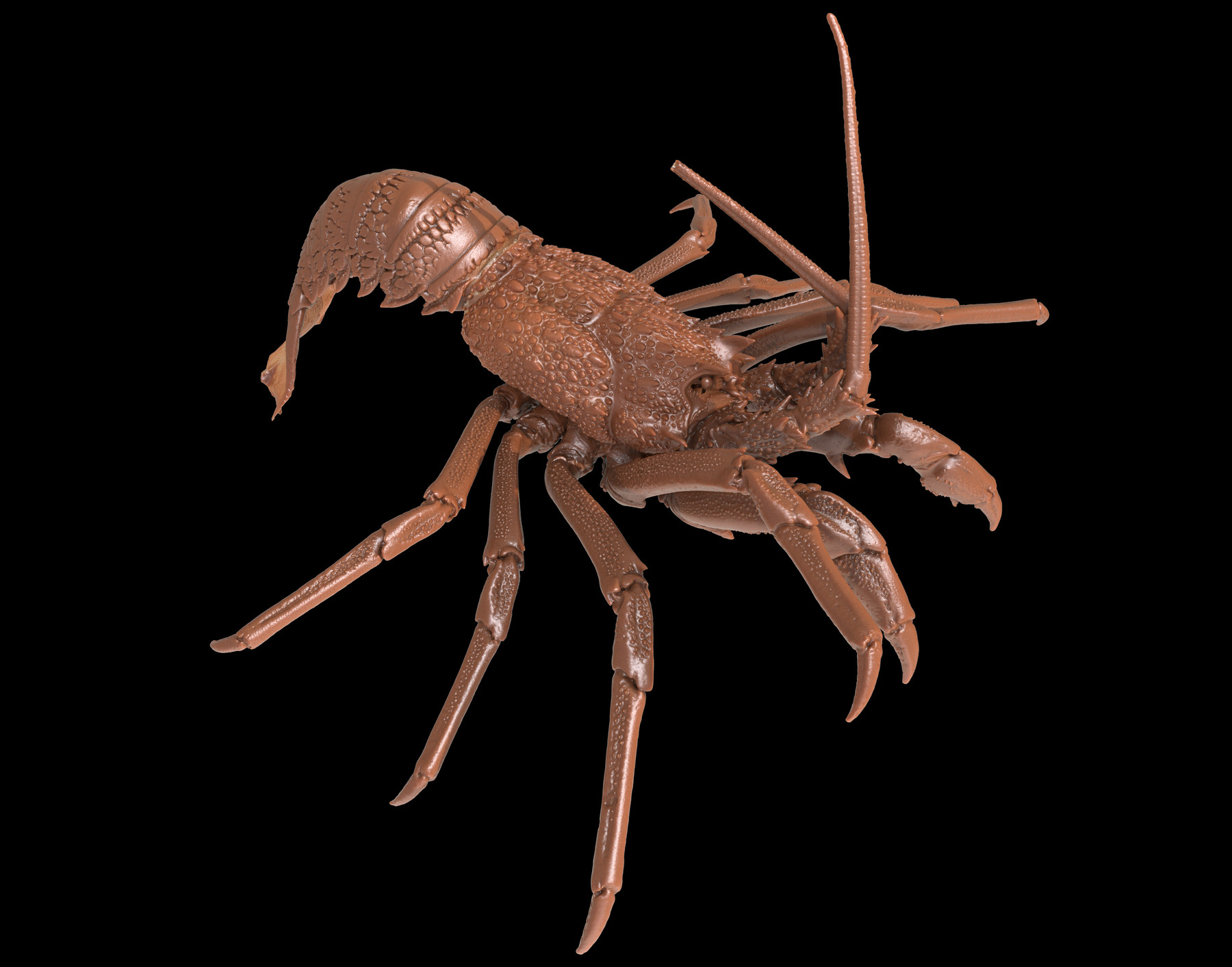 ArtStation - Crayfish | Resources