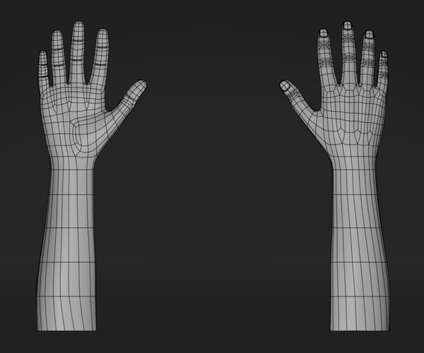 ArtStation - Realistic Hand-Rigged | Resources
