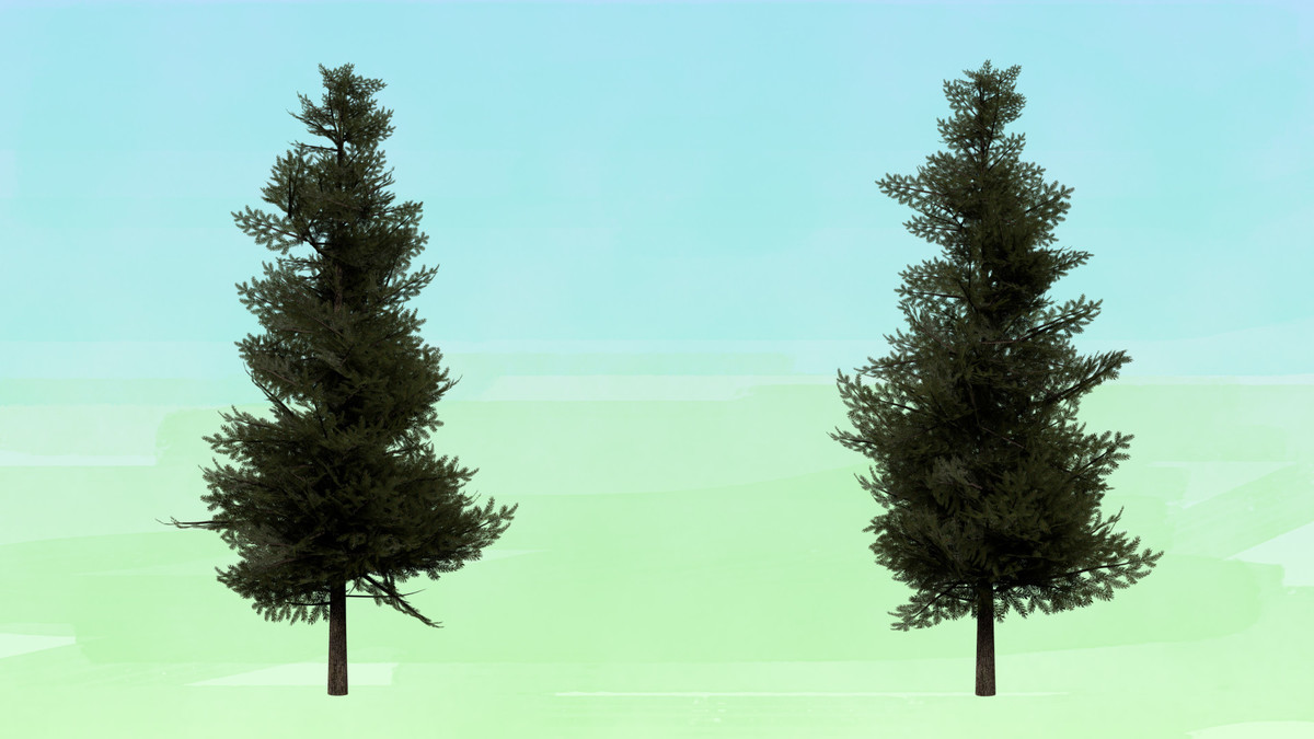 ArtStation - Realistic Tree Pack | Game Assets