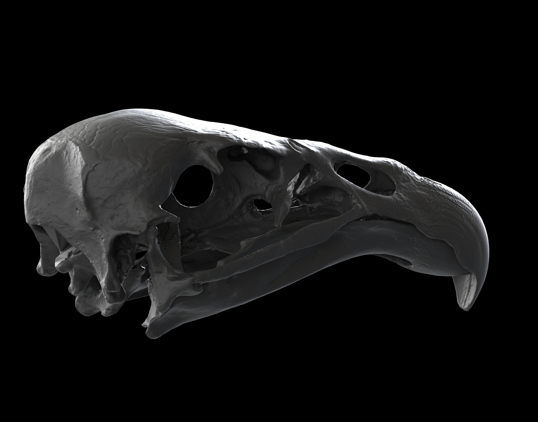 ArtStation - Condor | Resources