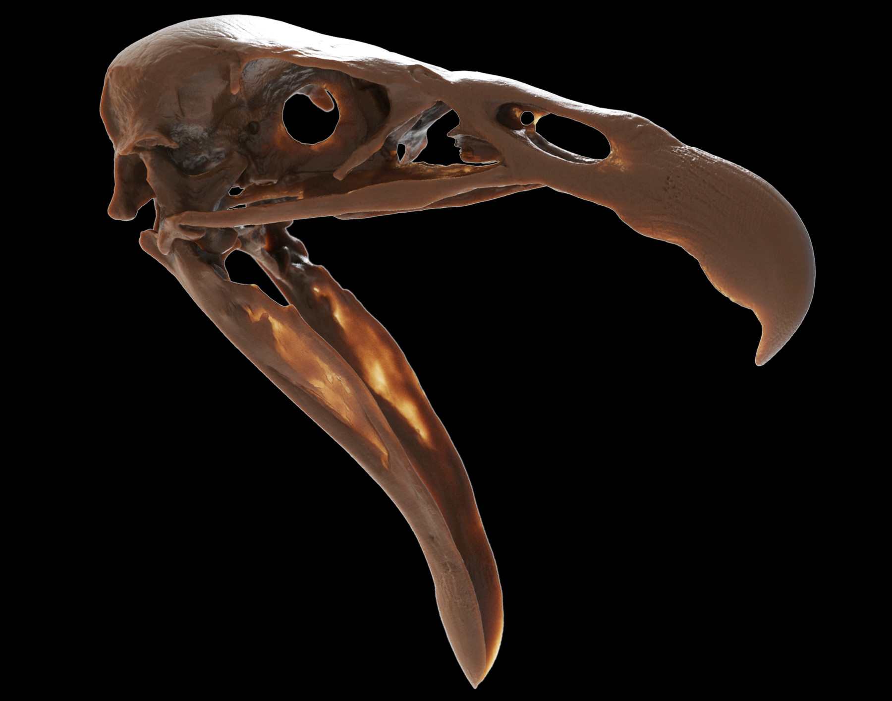 ArtStation - Condor | Resources