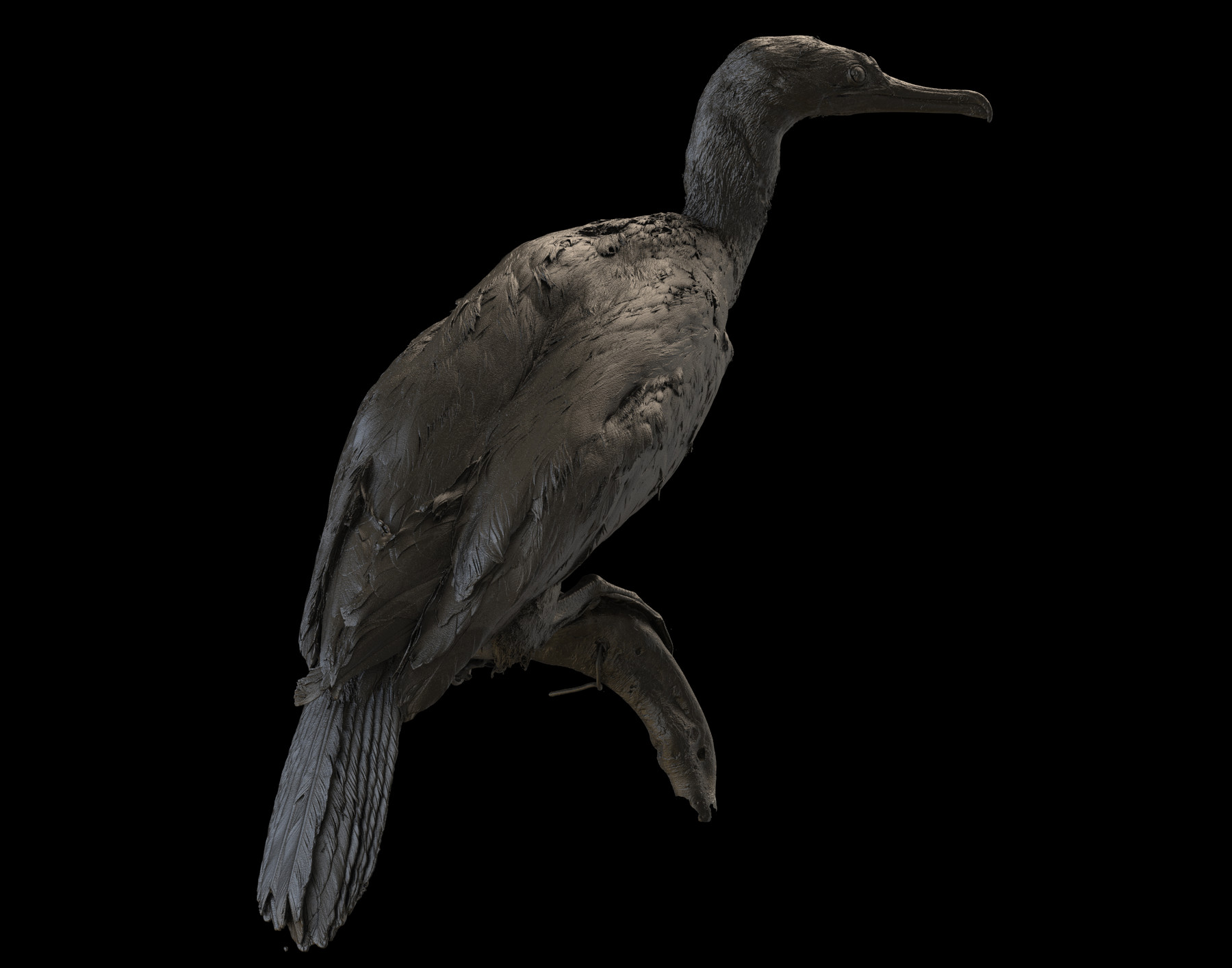 ArtStation - Shag | Resources