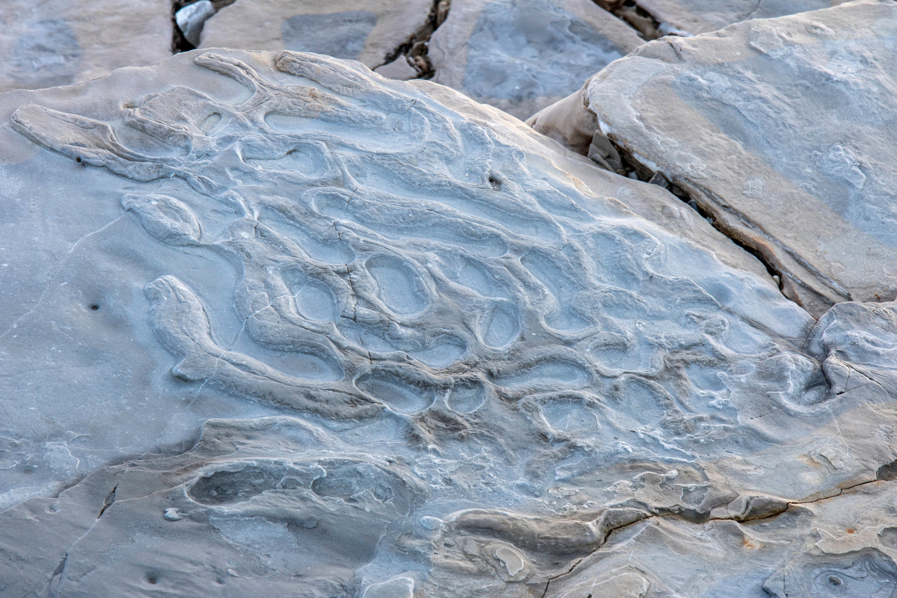 ArtStation - Maritime Rocks Photo Reference Vol. 2 | Resources