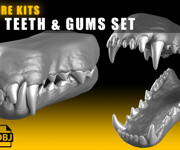 ArtStation - CREATURE KITS: Wolf Teeth & Gums - High Poly OBJ File ...