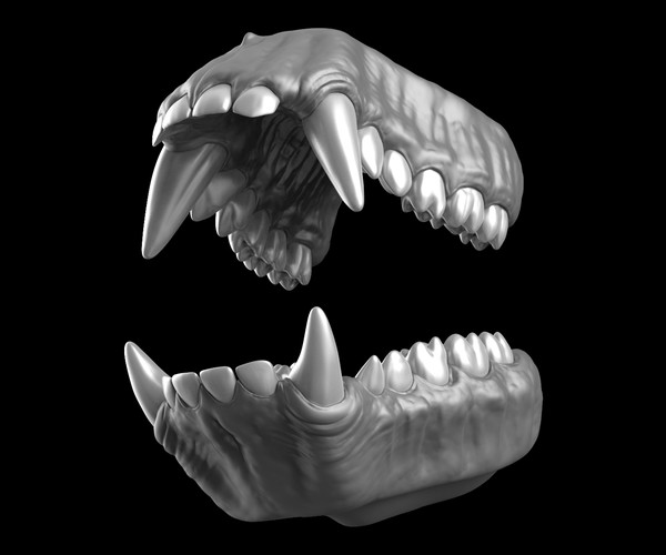 ArtStation - CREATURE KITS: Bundle 1 - 4 Teeth & Gums Sets - High Poly ...