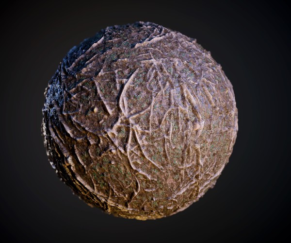 ArtStation - Ground Tree Root Seamless PBR Texture | Game Assets