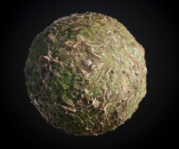 ArtStation - Forrest Ground Seamless PBR Texture | Game Assets