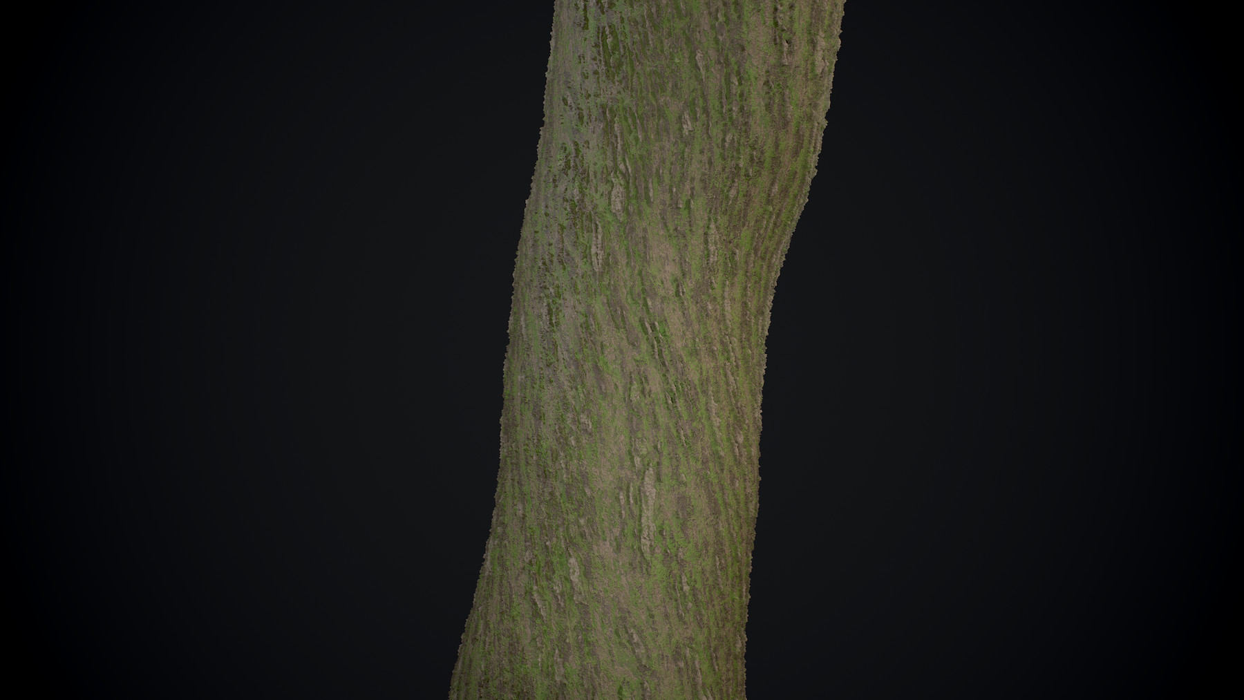 ArtStation - Bark Pack Vol.1 | Game Assets