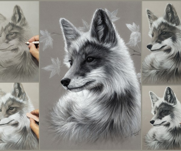 ArtStation - HOW TO REALIZE A REALISTIC PORTRAIT OF FOX IN MONOCHROM ...