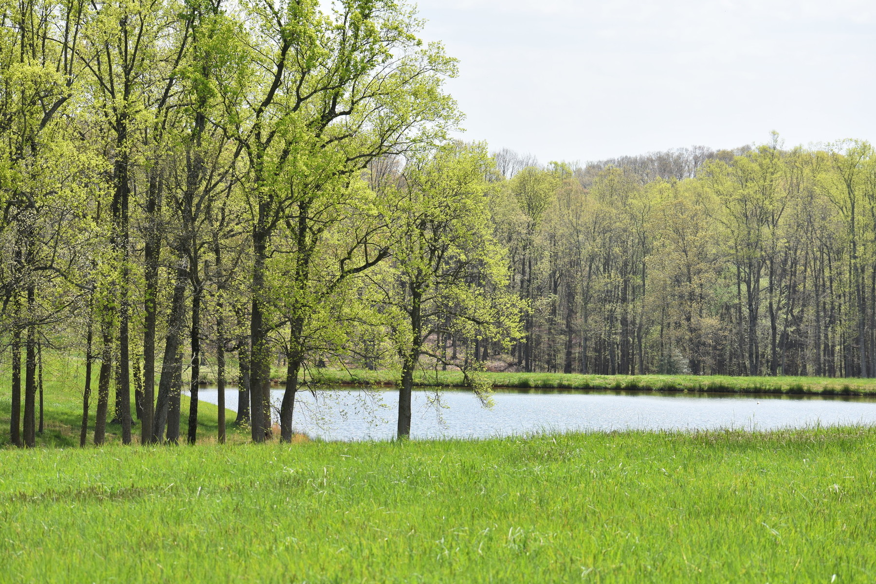 ArtStation - North American Nature: Reference Pack | Resources