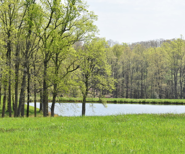 ArtStation - North American Nature: Reference Pack | Resources