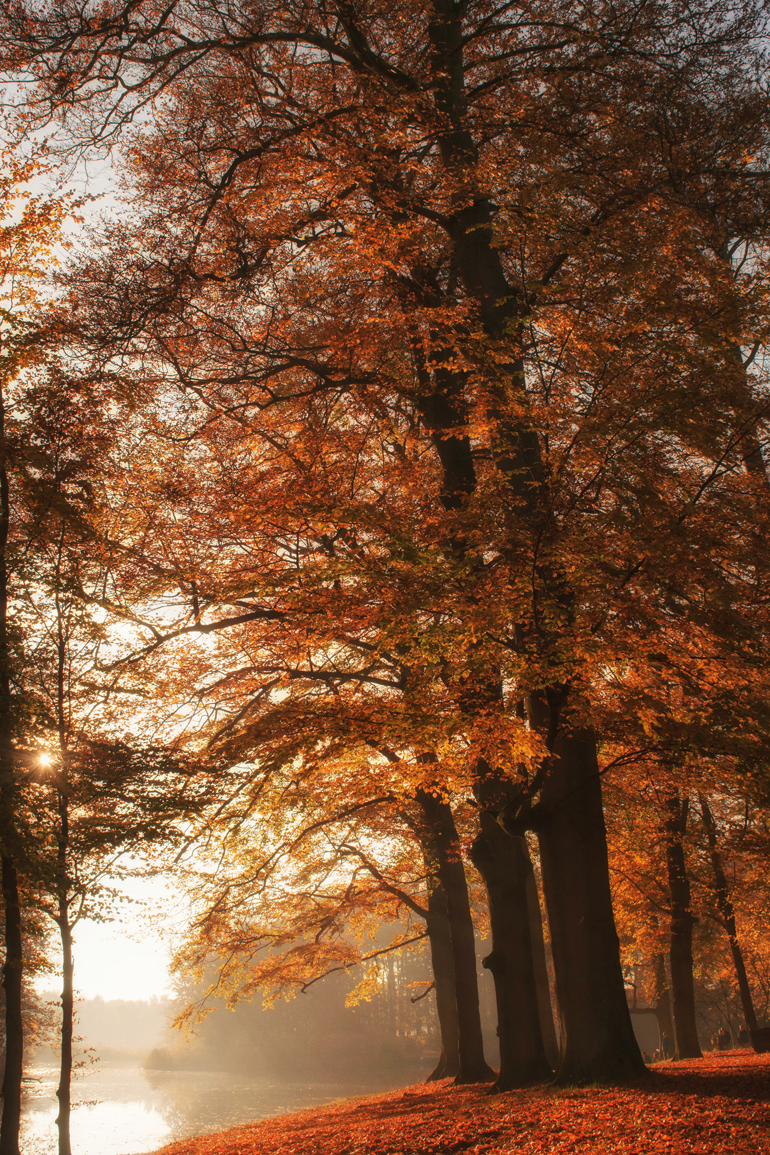 ArtStation - Reference: Autumn Pack 50 | Resources