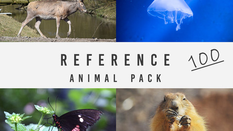 ArtStation - Reference: Animal Pack 100 | References