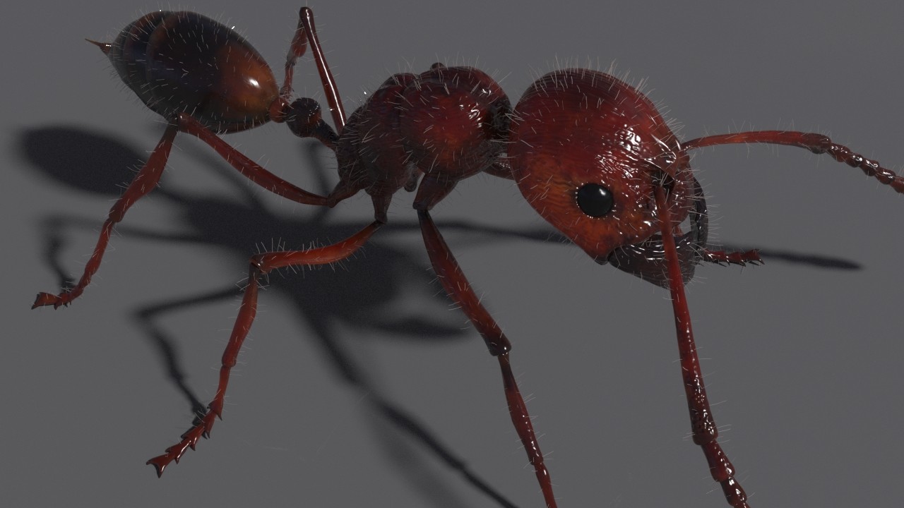 ArtStation - Fire Ant Maya Rig | Resources