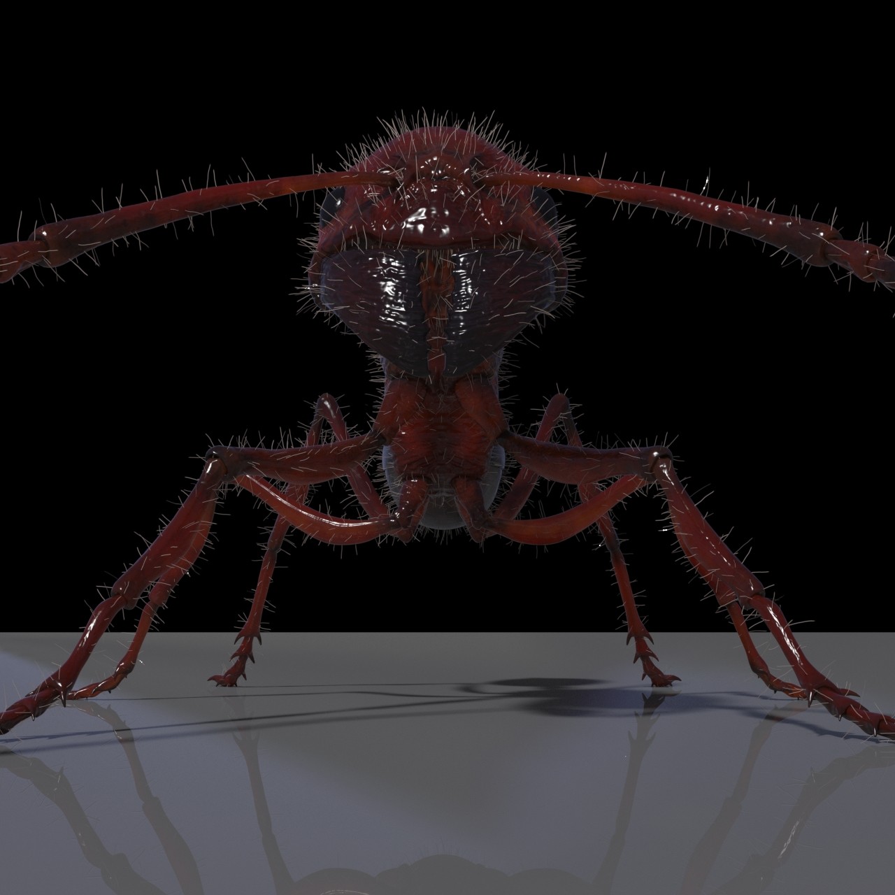 ArtStation - Fire Ant Maya Rig | Resources