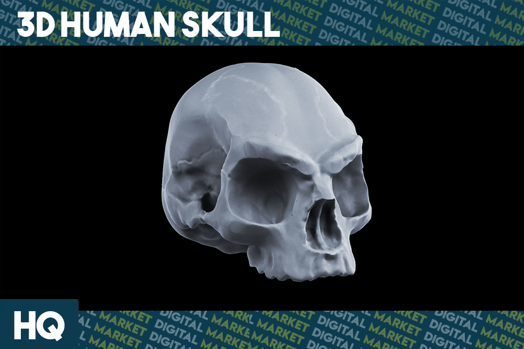 ArtStation - Human Skull | Game Assets