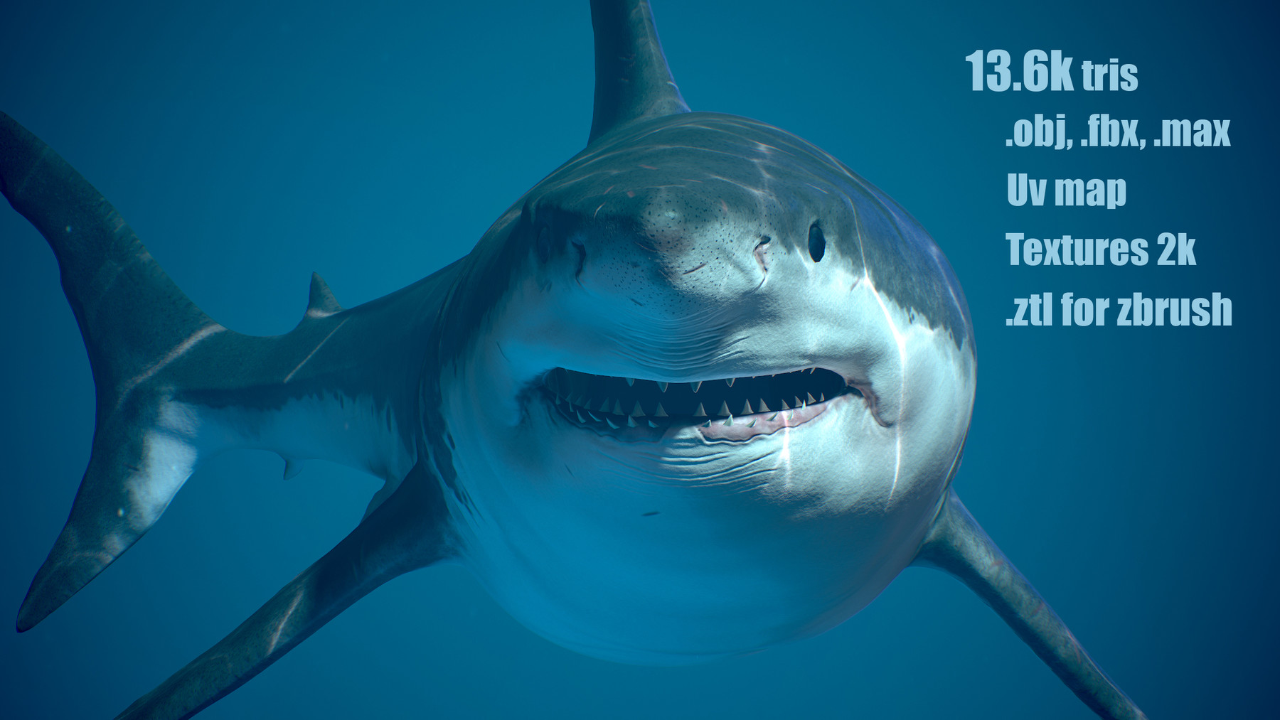 ArtStation - Great white shark low poly + high poly | Resources