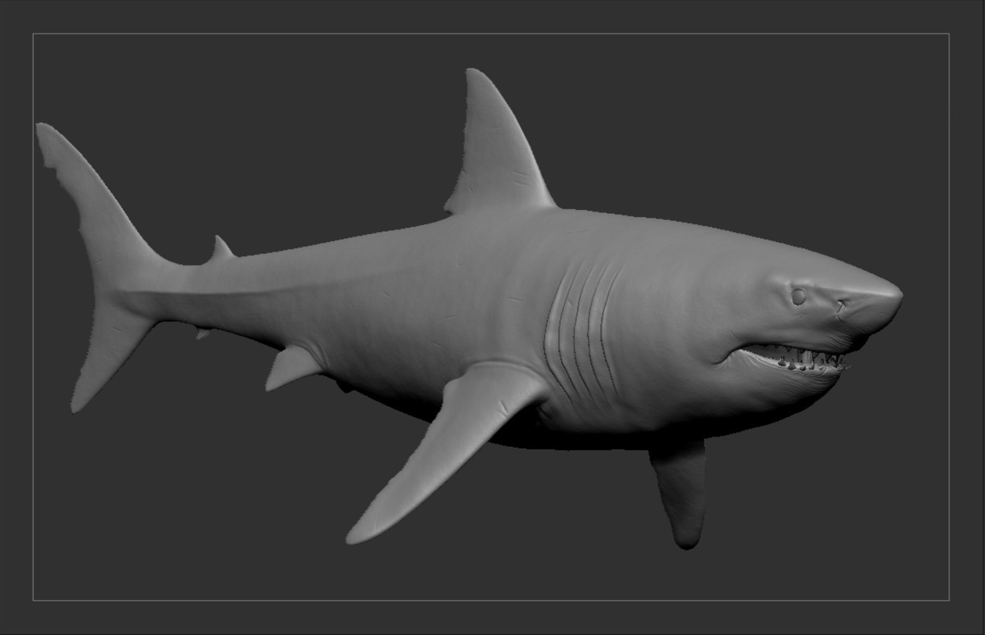 ArtStation - Great white shark low poly + high poly | Resources