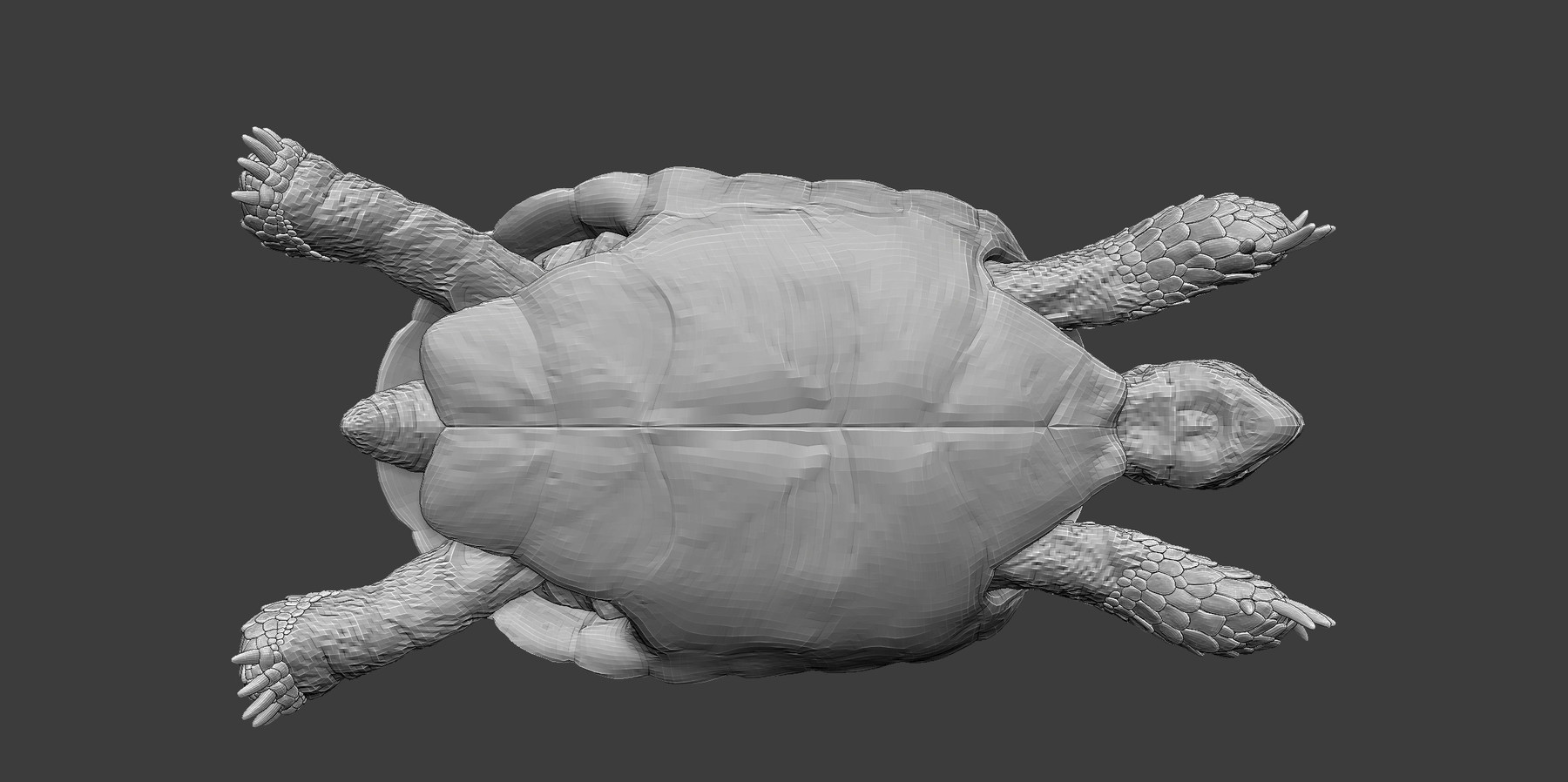 ArtStation - TORTOISE LOW POLY 3D MODEL | Resources