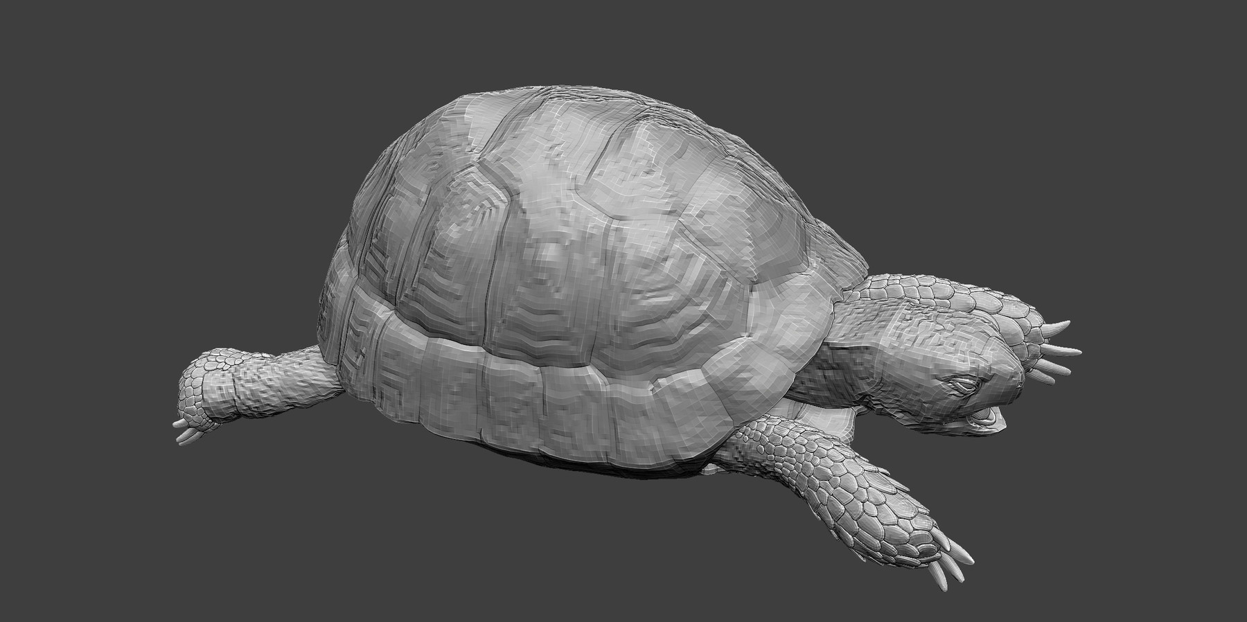 ArtStation - TORTOISE LOW POLY 3D MODEL | Resources