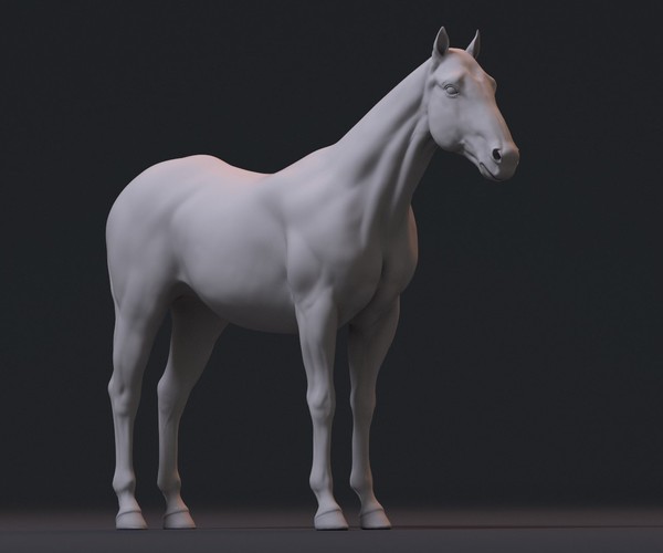 ArtStation - Realistic Horse | Resources