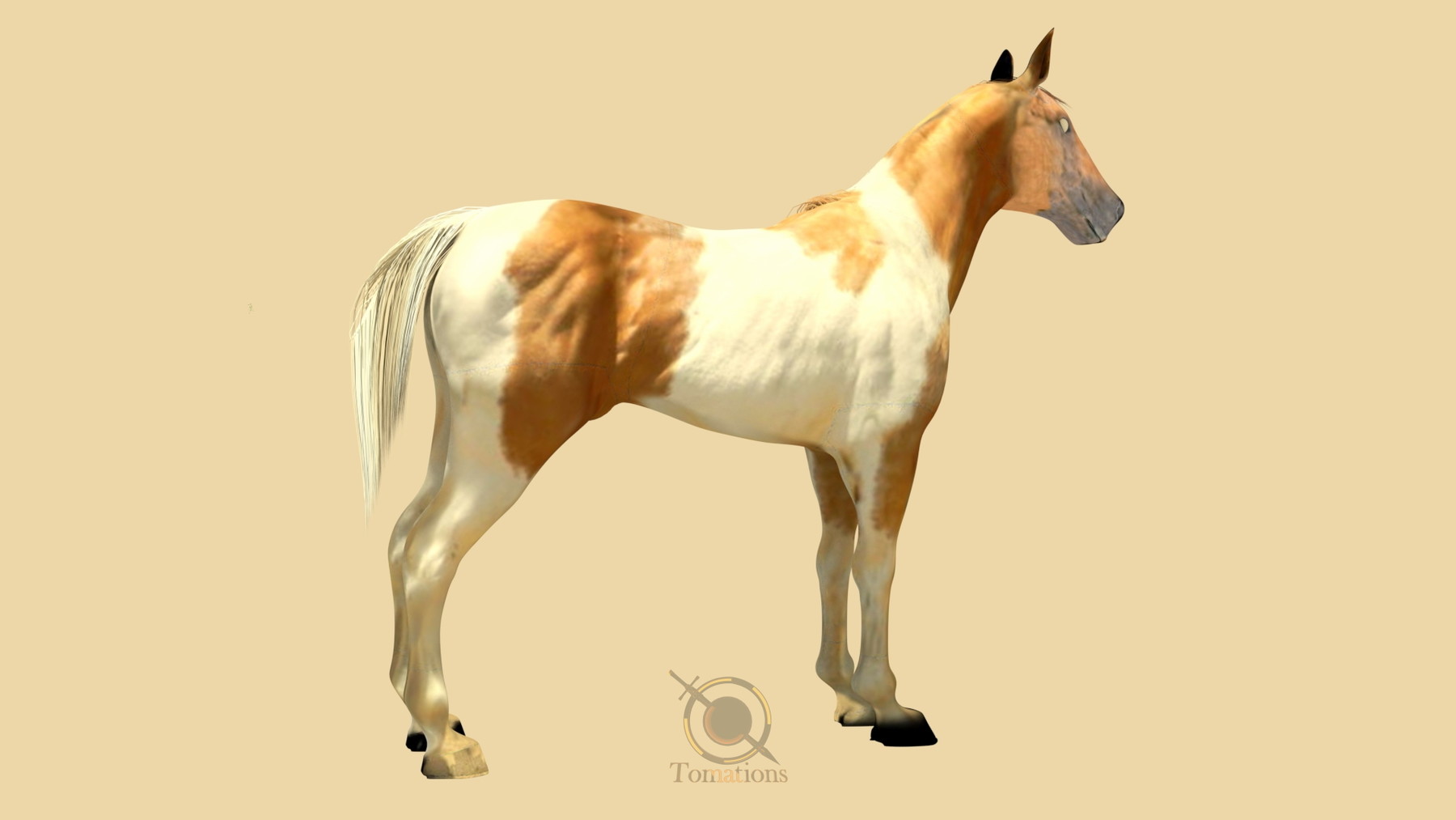 ArtStation - Rigged Horse (Blender) | Resources