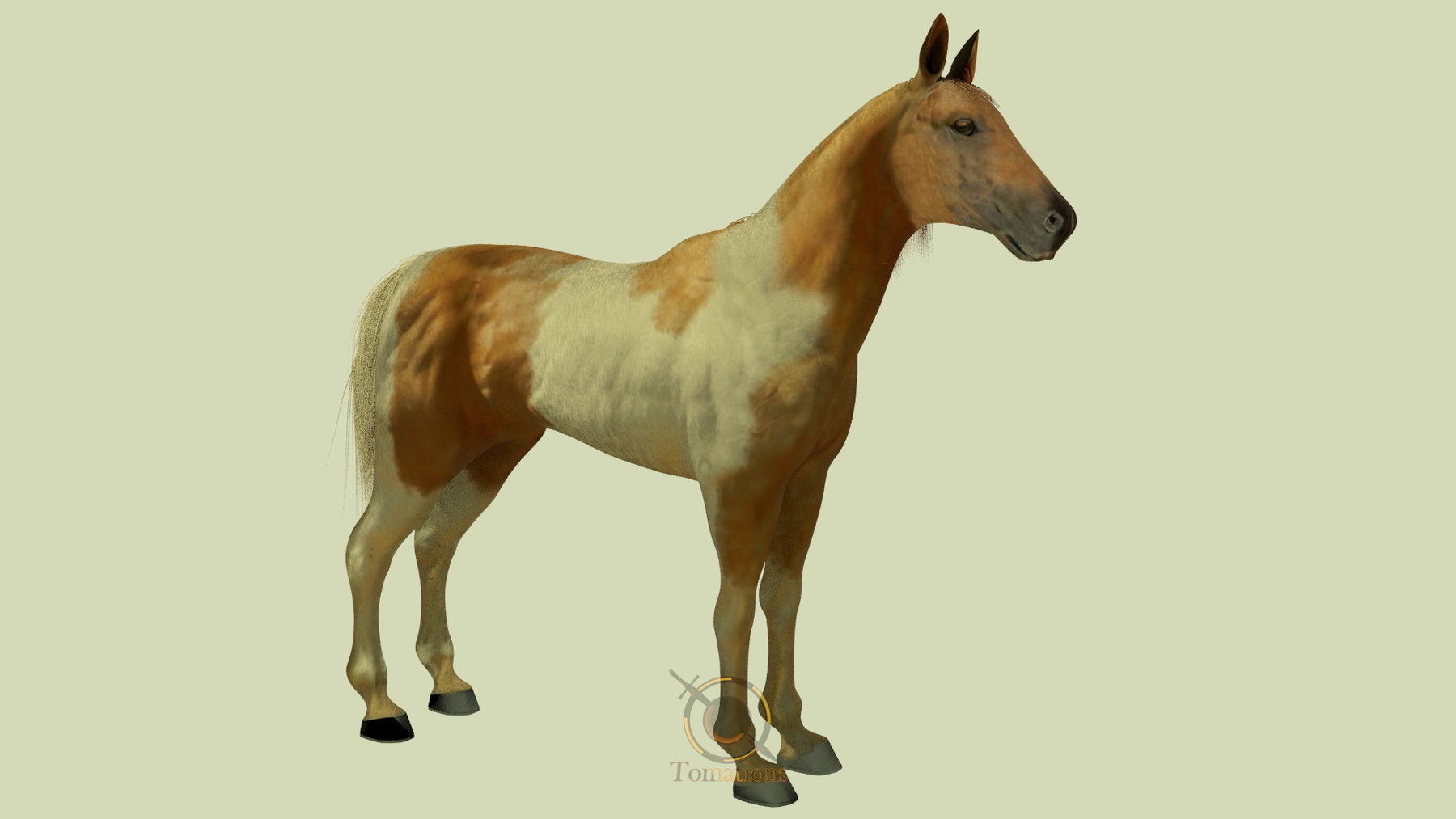 ArtStation - Rigged Horse (Blender) | Resources