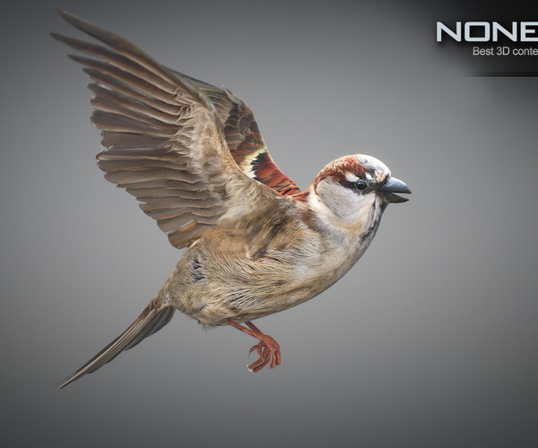 ArtStation - Animated Sparrow | Game Assets