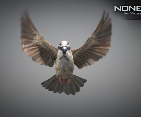 ArtStation - Animated Sparrow | Game Assets