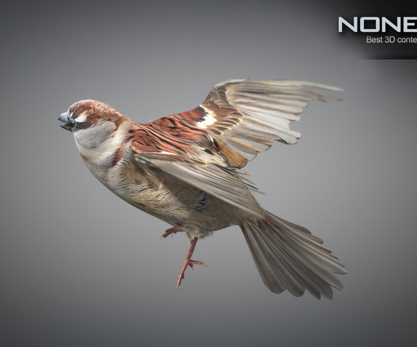 ArtStation - Animated Sparrow | Game Assets