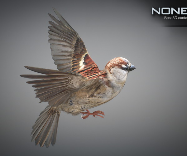 ArtStation - Animated Sparrow | Game Assets