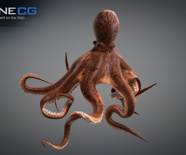 ArtStation - Animated Octopus | Game Assets