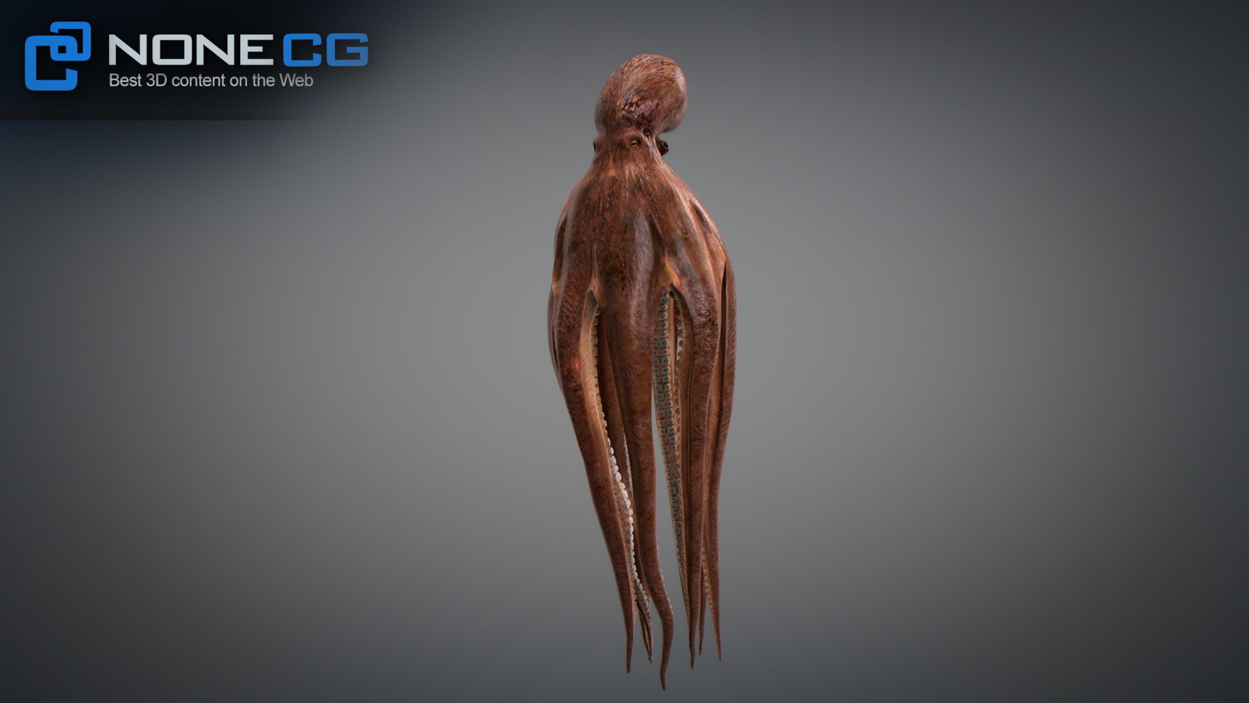 ArtStation - Animated Octopus | Game Assets