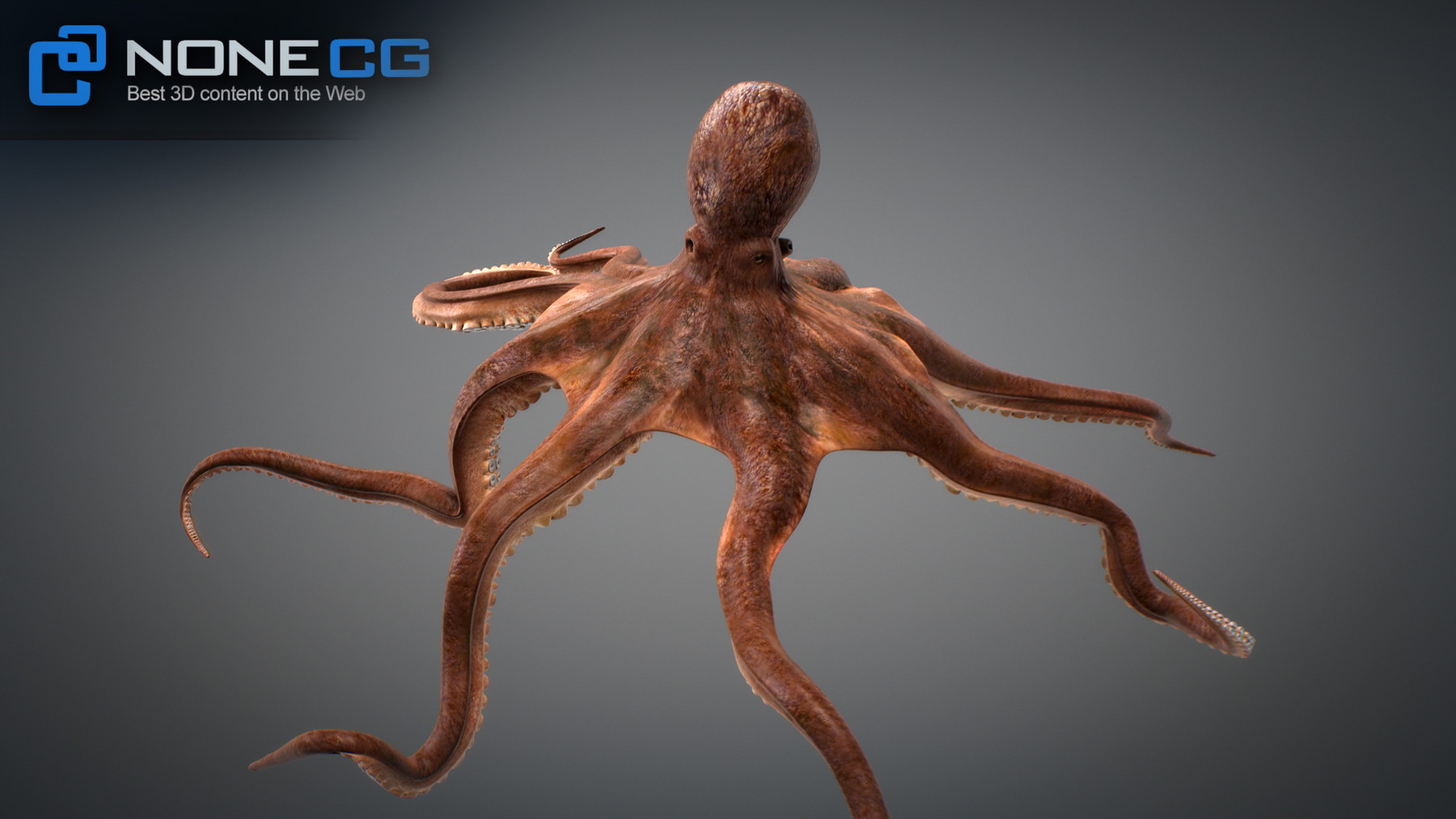 ArtStation - Animated Octopus | Game Assets