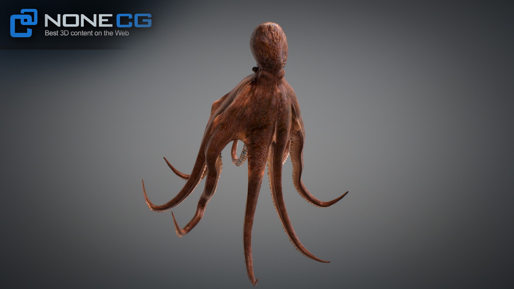 ArtStation - Animated Octopus | Game Assets