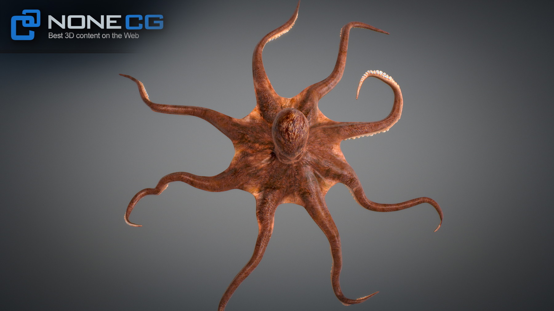 ArtStation - Animated Octopus | Game Assets
