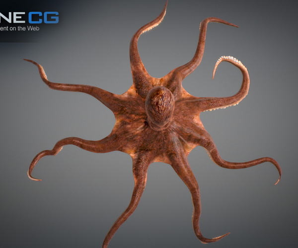 ArtStation - Animated Octopus | Game Assets