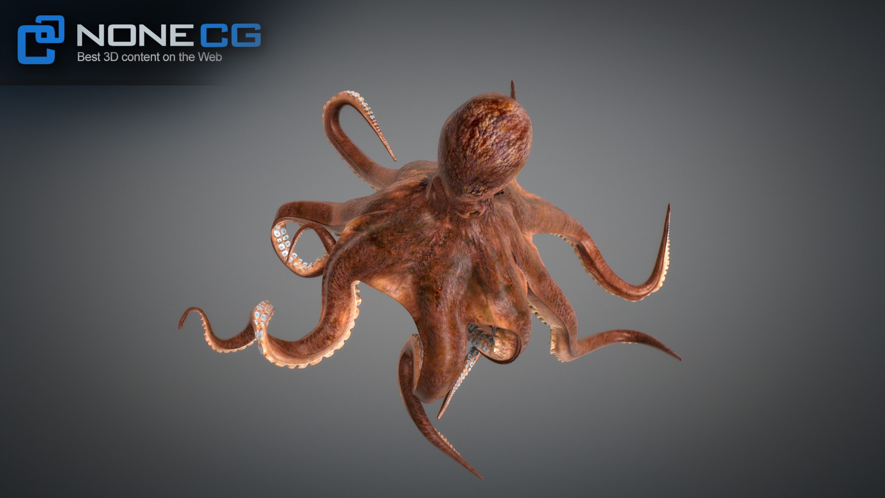 ArtStation - Animated Octopus | Game Assets