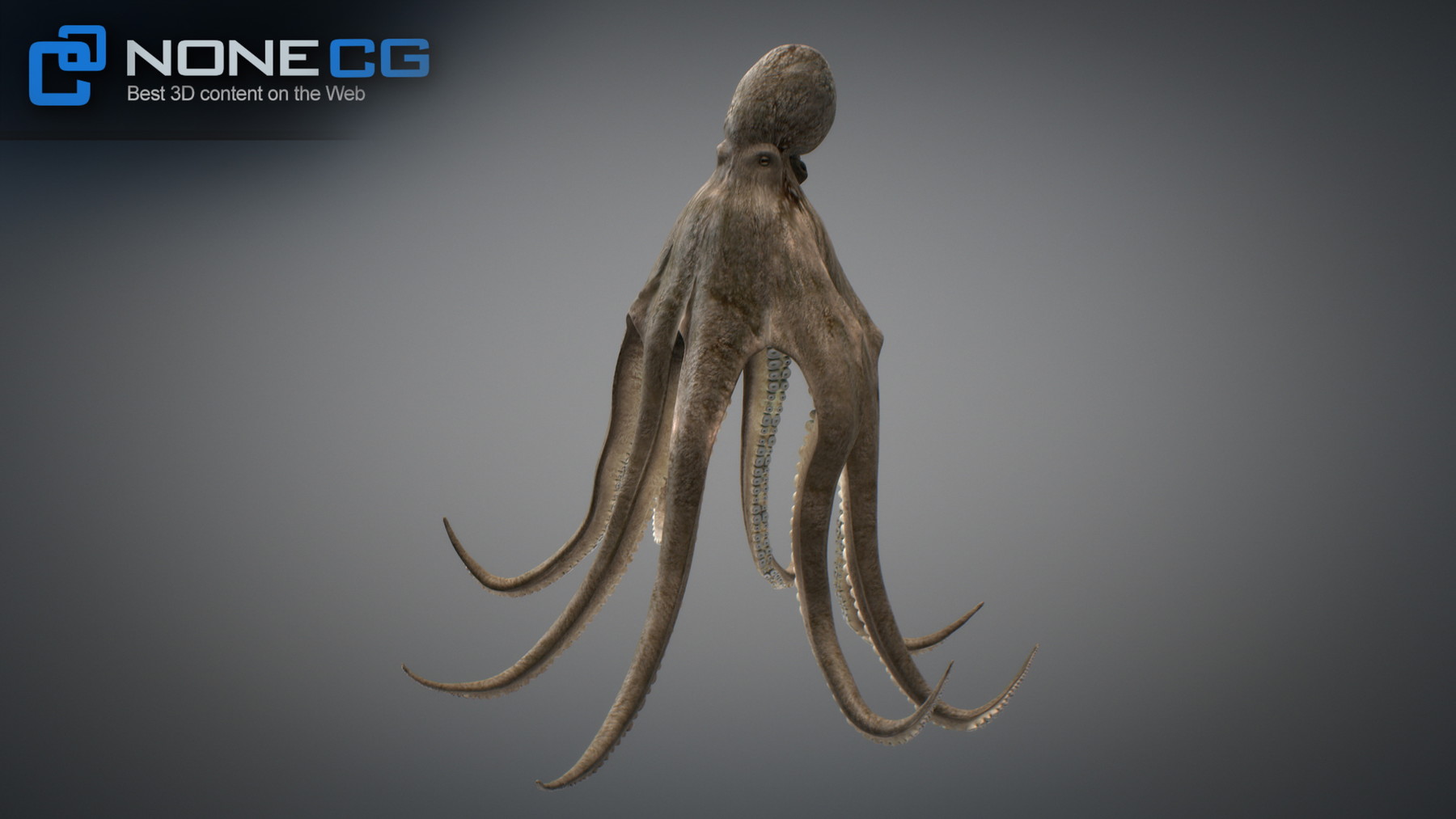 ArtStation - Animated Octopus | Game Assets