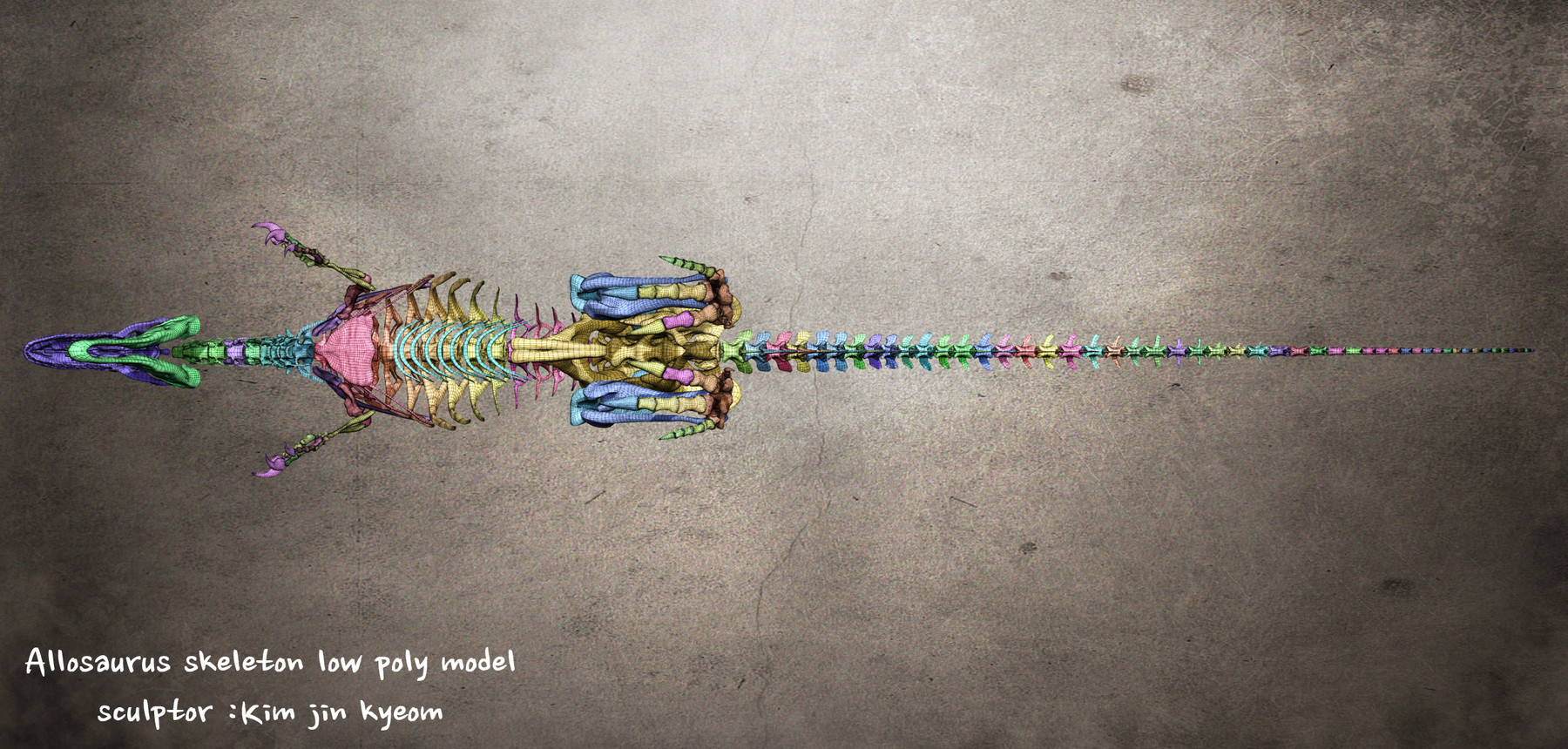 ArtStation - Allosaurus skeleton low polygon 3d model | Resources
