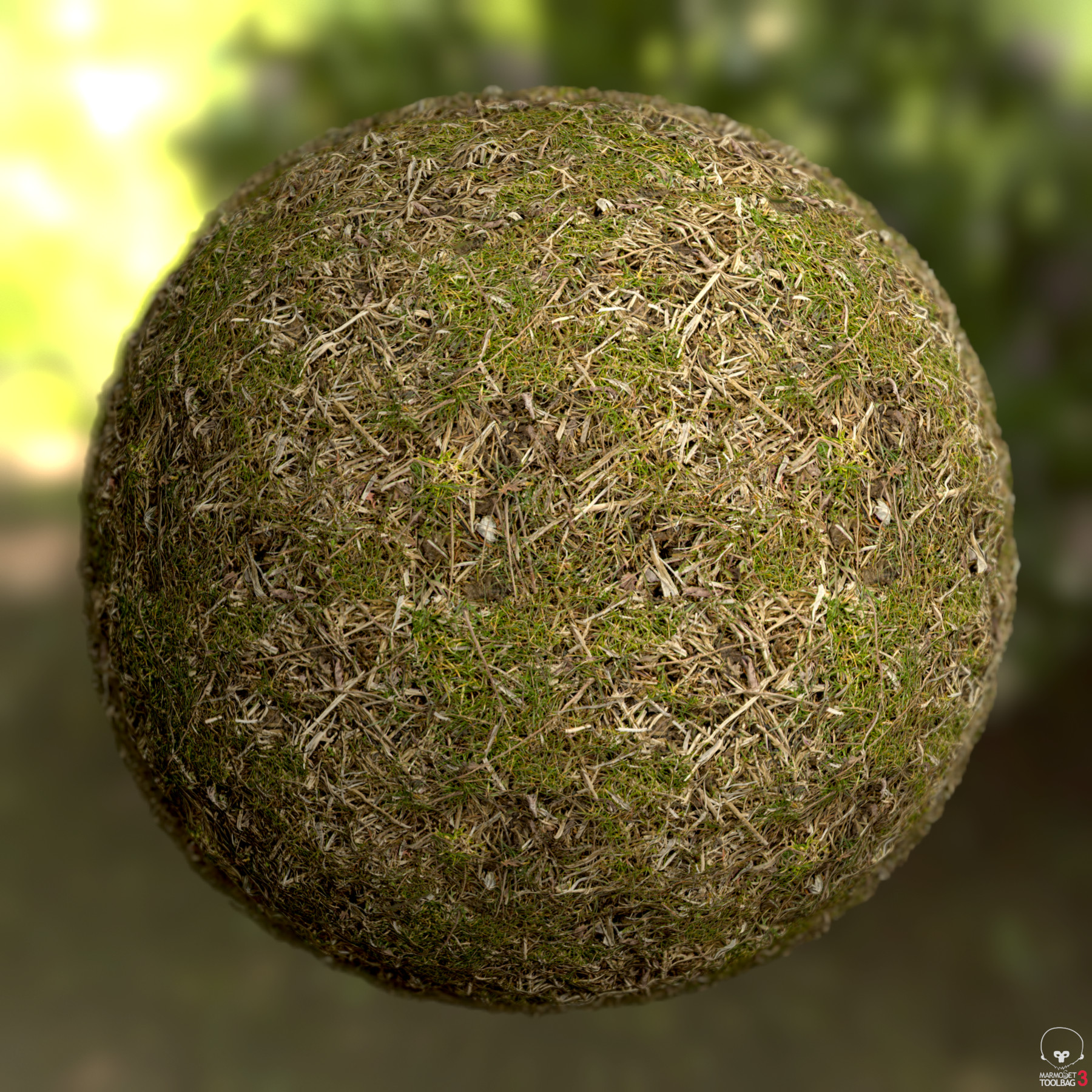 ArtStation - Short Grass ground Scan | Resources