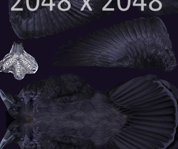 ArtStation - Animated Crow | Resources