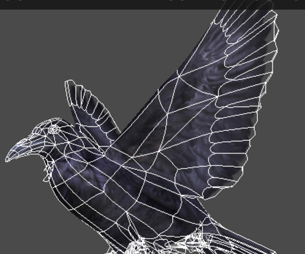 ArtStation - Animated Crow | Resources