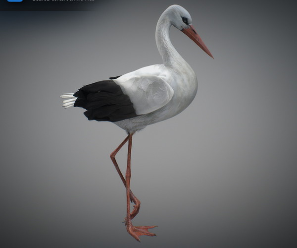 ArtStation - Animated Stork | Resources