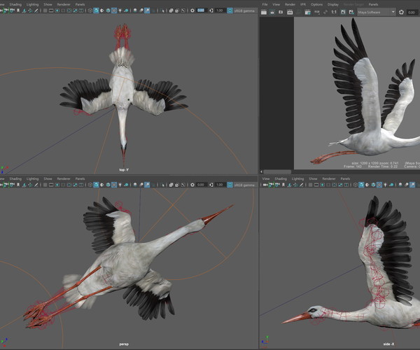 ArtStation - Animated Stork | Resources