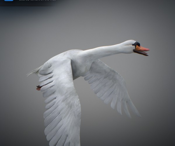 ArtStation - Animated Swan | Resources