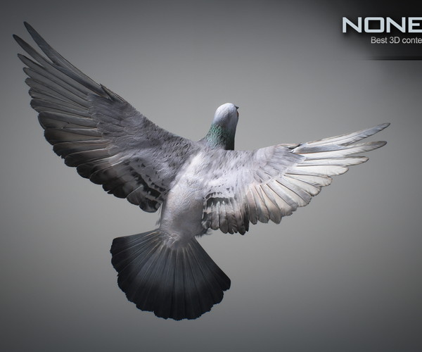 ArtStation - Animated Doves | Resources