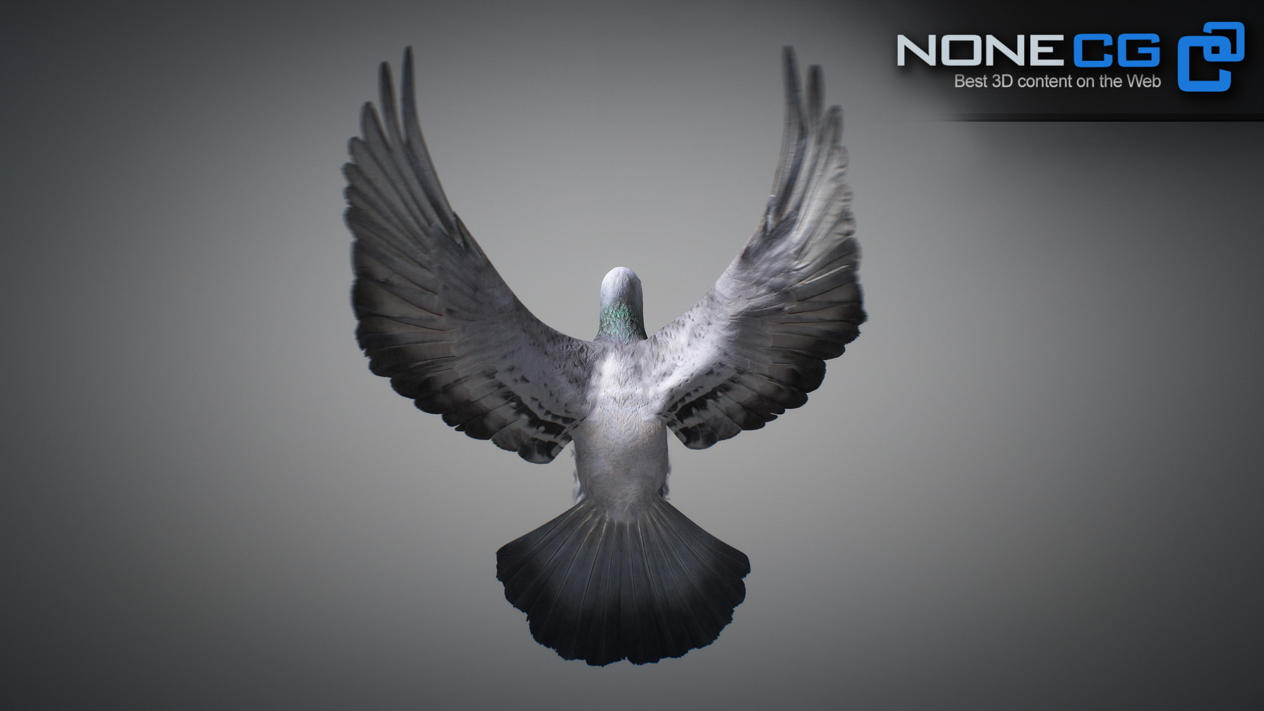 ArtStation - Animated Doves | Resources