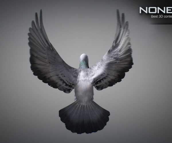 ArtStation - Animated Doves | Resources