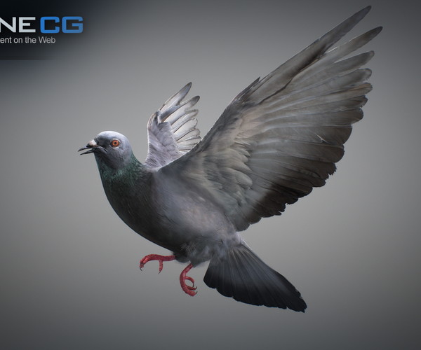 ArtStation - Animated Doves | Resources